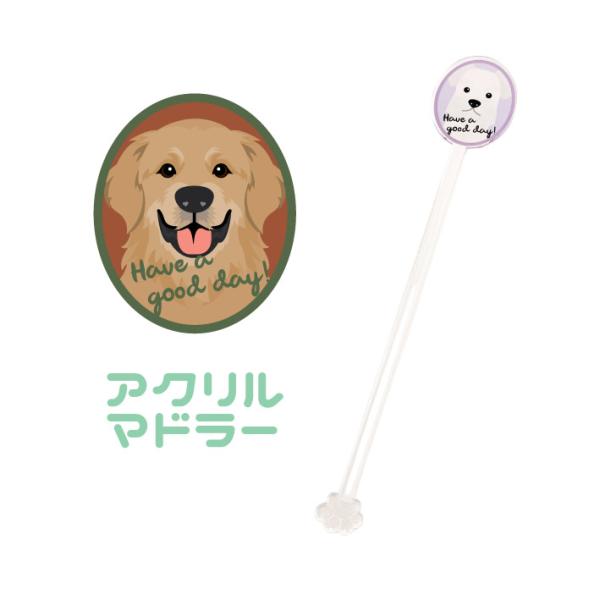 犬のグッズシリーズにマドラーが登場です！透明のアクリルなので、光に当たると反射が綺麗です。お部屋の飾りにいかがでしょうか。おでかけに持って行ったら一緒に写真が撮れるかも？プレゼントにもおすすめです。【製品内容】素　材：アクリルサイズ：200...