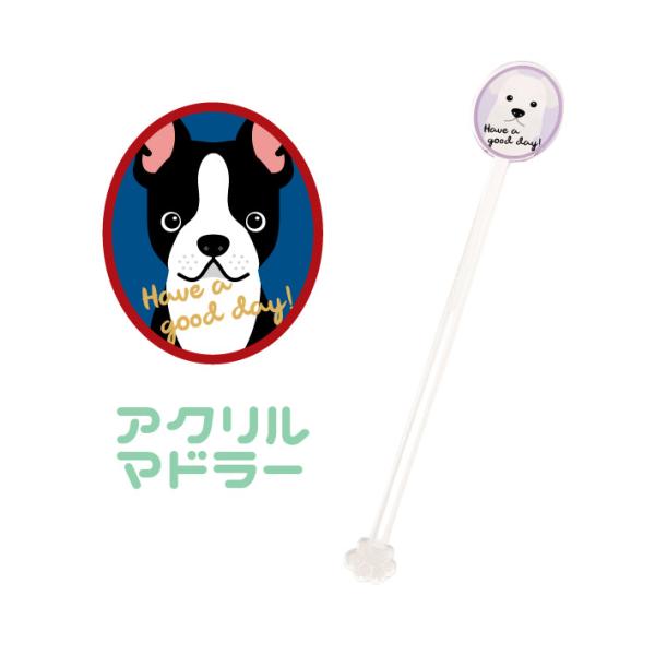 犬のグッズシリーズにマドラーが登場です！透明のアクリルなので、光に当たると反射が綺麗です。お部屋の飾りにいかがでしょうか。おでかけに持って行ったら一緒に写真が撮れるかも？プレゼントにもおすすめです。【製品内容】素　材：アクリルサイズ：200...