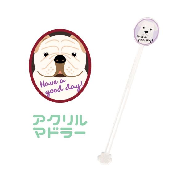犬のグッズシリーズにマドラーが登場です！透明のアクリルなので、光に当たると反射が綺麗です。お部屋の飾りにいかがでしょうか。おでかけに持って行ったら一緒に写真が撮れるかも？プレゼントにもおすすめです。【製品内容】素　材：アクリルサイズ：200...
