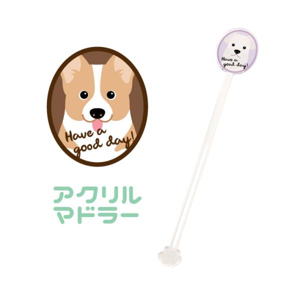 犬のグッズシリーズにマドラーが登場です！透明のアクリルなので、光に当たると反射が綺麗です。お部屋の飾りにいかがでしょうか。おでかけに持って行ったら一緒に写真が撮れるかも？プレゼントにもおすすめです。【製品内容】素　材：アクリルサイズ：200...