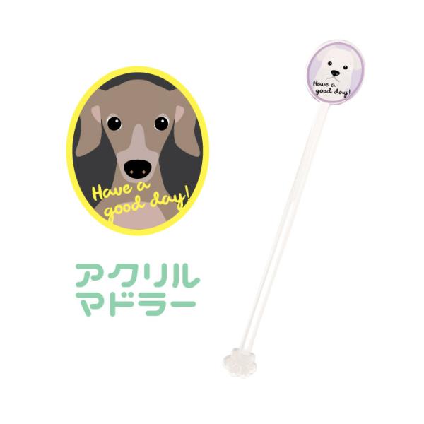 犬のグッズシリーズにマドラーが登場です！透明のアクリルなので、光に当たると反射が綺麗です。お部屋の飾りにいかがでしょうか。おでかけに持って行ったら一緒に写真が撮れるかも？プレゼントにもおすすめです。【製品内容】素　材：アクリルサイズ：200...
