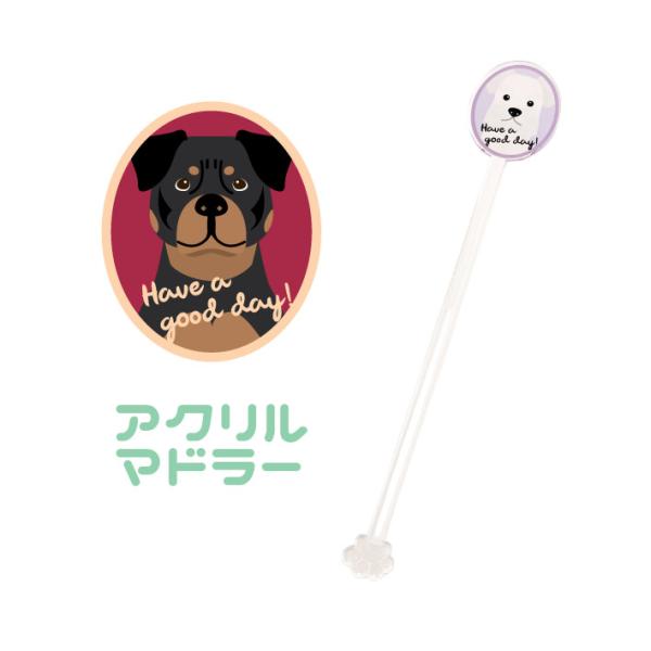 犬のグッズシリーズにマドラーが登場です！透明のアクリルなので、光に当たると反射が綺麗です。お部屋の飾りにいかがでしょうか。おでかけに持って行ったら一緒に写真が撮れるかも？プレゼントにもおすすめです。【製品内容】素　材：アクリルサイズ：200...