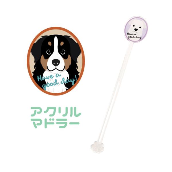 犬のグッズシリーズにマドラーが登場です！透明のアクリルなので、光に当たると反射が綺麗です。お部屋の飾りにいかがでしょうか。おでかけに持って行ったら一緒に写真が撮れるかも？プレゼントにもおすすめです。【製品内容】素　材：アクリルサイズ：200...