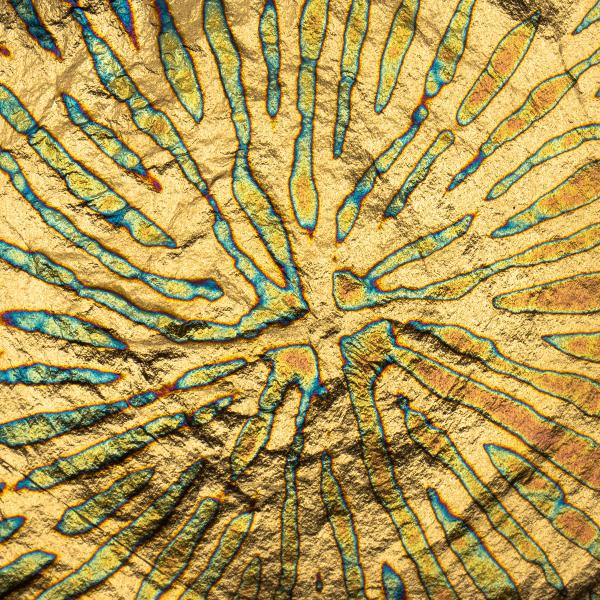 Variegated Gold Leafバリエゲーテッド ゴールド リーフ (青色系)Variegated Gold Leaf は Gold Leaf に焼き付け模様が入ったようなもの。