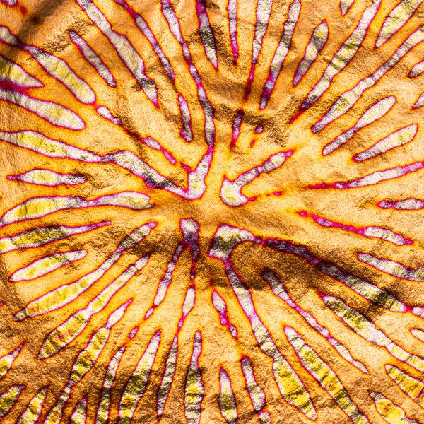 Variegated Gold LeafはGold Leafに焼き付け模様が入ったようなもの。青色系統色もあります。ブックタイプの25枚綴り。※焼付け模様は入荷次期により、画像と異なる場合があります。