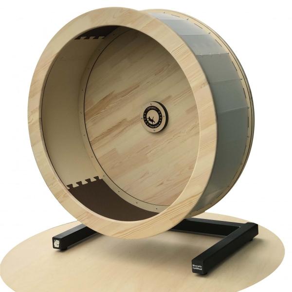 【発売日：2017年06月05日】この商品は驚きと健康を一緒に提供するキャットホイール、moonskip！愛猫との特別な瞬間を創造するためにデザインされました。○運動と健康促進 moonskipは猫に理想的な運動環境を提供し、健康な生活を促...