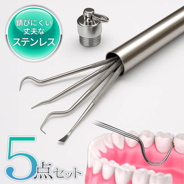 本格デンタルケアができるデンタルツールセット5点セット！サビにくく、丈夫なステンレス製！水洗いできるからお手入れ簡単。ブラッシング後の細部のケアや、子供の歯のチェックに。持ち運びに便利なケース付き。旅行・出張先・職場の更衣室や会社に常備して...