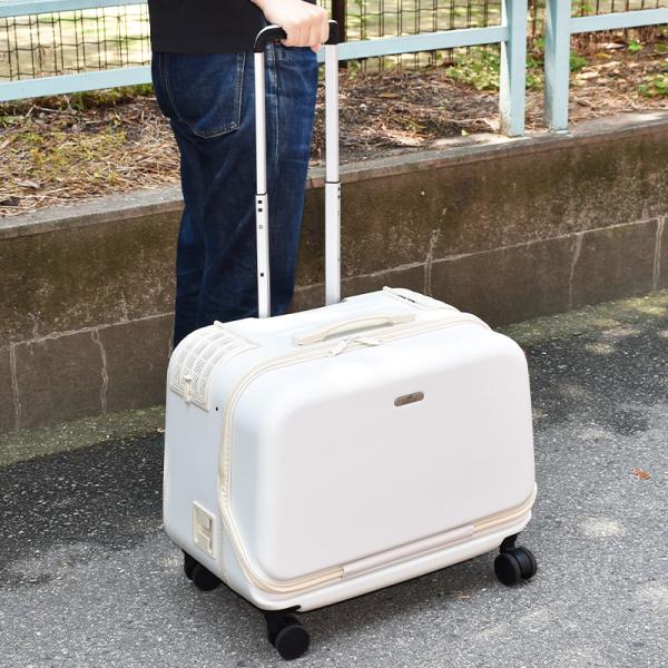 サイズ(最大値)：約54.0×33.0×45.0cm＊詳細は画像をご覧下さい。対象：超小型犬、小型犬、猫(2頭まで)耐荷重：本体内部(犬・猫)：15kg以下　　　　本体上部(荷物等)：5kg以下生産国：インドネシア商品区分：犬猫用キャリー●...