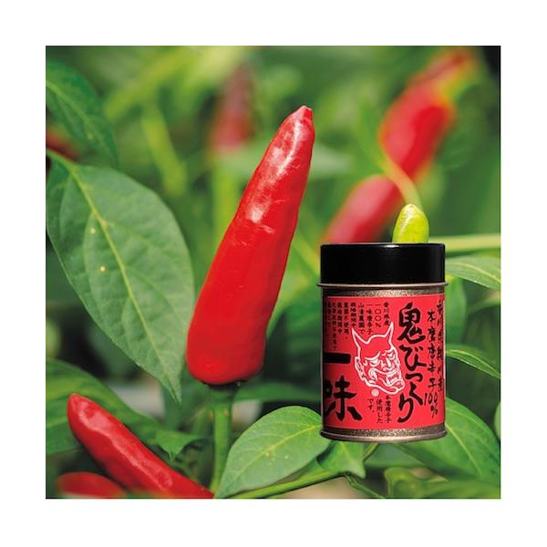 かつて瀬戸内の島々で栽培されていた香川本鷹唐辛子。安価な輸入物の唐辛子の流通、後継者不足が重なり生産者がいなくなりました。しかし、近年になってその品質に光が当たり復活した幻の唐辛子です。現在、唐辛子は90%以上が輸入物になります。国産の唐辛...