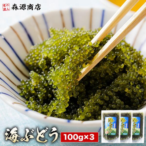 ＜商品説明＞◯プチプチ弾ける食感！南国の恵みをお届けする沖縄県産海ぶどう太陽をたっぷり浴びて育った沖縄県産海ぶどうです。鮮度と美味しさを閉じ込める「塩水漬け」で、常温保存ができる使い勝手の良さも魅力。食べる直前に水で2〜3分さっと戻すだけで...