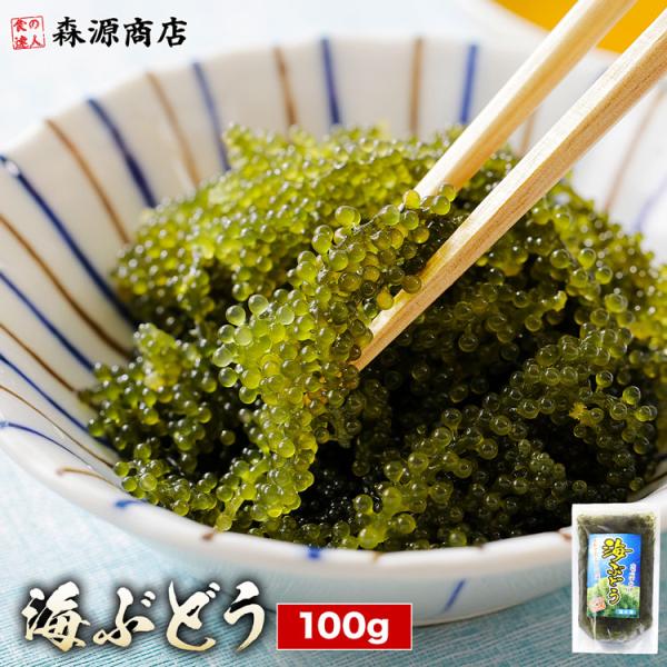 ＜商品説明＞◯プチプチ弾ける食感！南国の恵みをお届けする沖縄県産海ぶどう太陽をたっぷり浴びて育った沖縄県産海ぶどうです。鮮度と美味しさを閉じ込める「塩水漬け」で、常温保存ができる使い勝手の良さも魅力。食べる直前に水で2〜3分さっと戻すだけで...