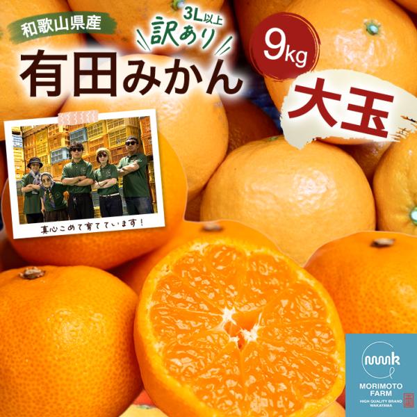 南からの太陽と太平洋からの潮風が作り出す「生産量全国1位のみかん」段々畑によって、1本1本に降り注ぐ太陽とおいしい空気と水、ミネラルを含んだ太平洋からの潮風から作り出されるみかんは絶品です。水はけも良く、栽培にとても恵まれた地形が甘みが詰ま...