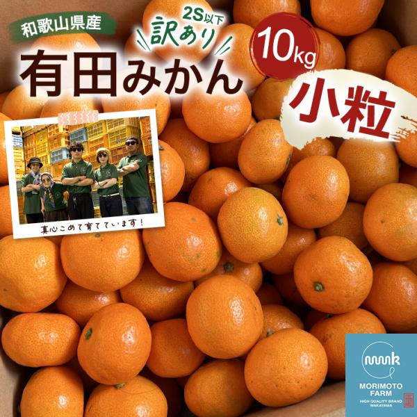 一年を通して気候も良く、日当たりも絶好な場所で宝物のように大事に育てられた有田みかん！甘さが際立ち、酸味もあり、ジューシーで旨みが多いみかんとなっています。2S以下の小粒で、更に甘みが凝縮された、有田みかんを代表するみかんです。とても甘くと...
