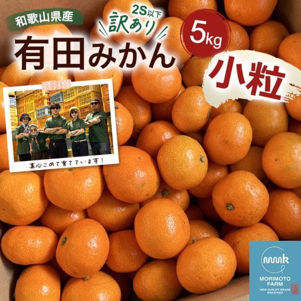 一年を通して気候も良く、日当たりも絶好な場所で宝物のように大事に育てられた有田みかん！甘さが際立ち、酸味もあり、ジューシーで旨みが多いみかんとなっています。2S以下の小粒で、更に甘みが凝縮された、有田みかんを代表するみかんです。とても甘くと...