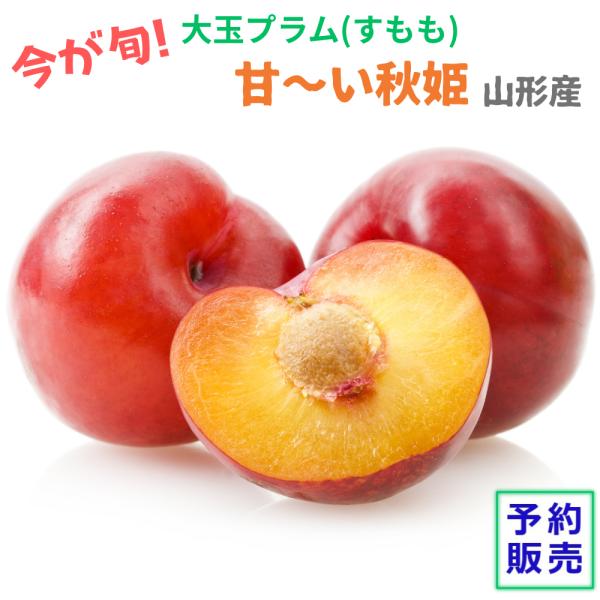 『秋姫』は大玉で甘さたっぷり！酸味の穏やかな人気品種のすもも(プラム)です。糖度は14度を超え、1玉のサイズも直径7ｃｍ前後と大玉で食べ答えがあり、みずみずしく酸味が穏やかでとっても甘〜く美味しいすもも(プラム)です。『秋姫』の生産量は全国...