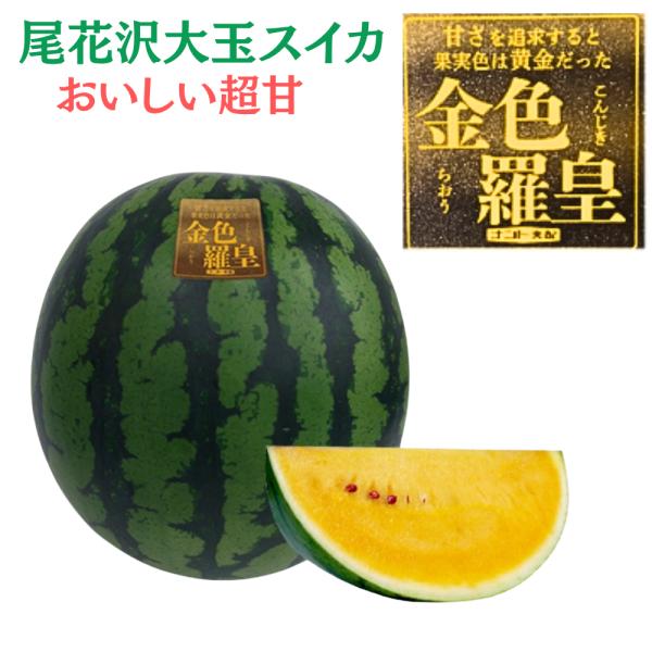 夏すいか生産量日本一の尾花沢すいかの新種です黄金色のすいか金色羅王ですフルーティーな特有の香りと果肉のスッキリした甘味と食感は他の品種にはない高級な味わいですすいか果肉の色は黄色から橙色で種まで黄色（薄茶色）糖度も高く甘〜くおいしい大玉すい...