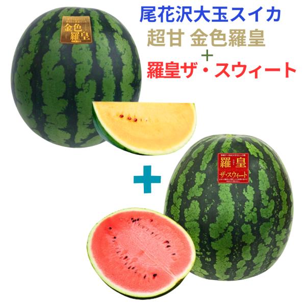 夏すいか生産量日本一の尾花沢すいかの新種です黄金色のすいか金色羅王ですフルーティーな特有の香りと果肉のスッキリした甘味と食感は他の品種にはない高級な味わいですすいか果肉の色は黄色から橙色で種まで黄色（薄茶色）糖度も高く甘〜くおいしい大玉すい...