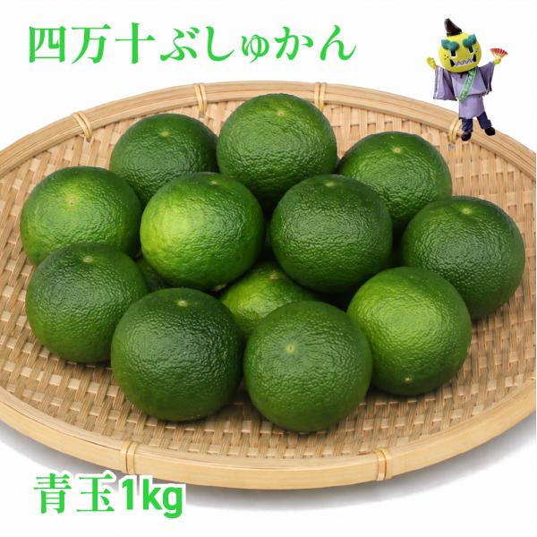 ■ぶしゅかんって何？？"ぶしゅかん"とは、酢ミカンの一種。  一説によると仏像の御手にのっている「宝珠」に似ていることから"仏手柑＝ぶしゅかん"と呼ばれるようになったとか。  高知では美味しい魚に欠かせない存在で、地元の人からは「酢の王様」...