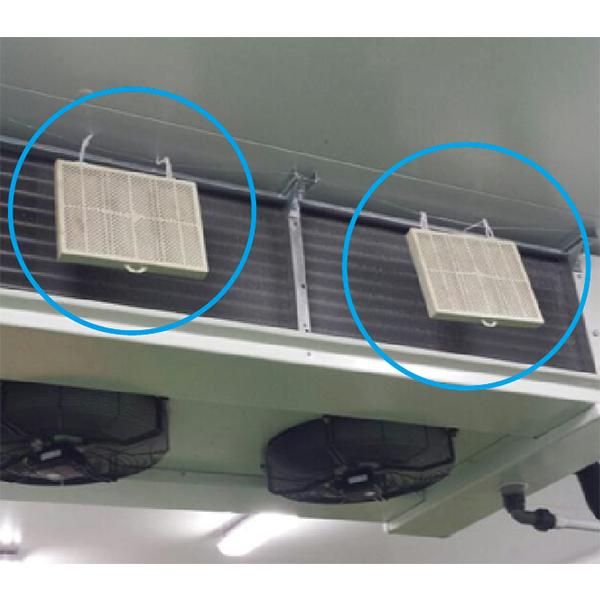 e-Fresh（イーフレッシュ）は、エチレンガス・VOC（揮発性有機化合物）の吸着・分解を行うことにより、野菜や果物の鮮度を保持します。野菜や果物から発生するエチレンガスには、生長・熟成する機能がありますが、熟成が進むとその後は老化・腐敗に...