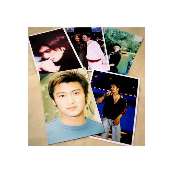 日本での通称名/ニコラス・ツェ普通話(北京語)/謝霆鋒、xie4 ting2 feng1（シェー・ティンフォン）広東語/謝霆鋒、dze6 ting4 fung1（ツェー・ティンフン）生年月日/1980年8月29日出生地/香港写真の大きさ：L...