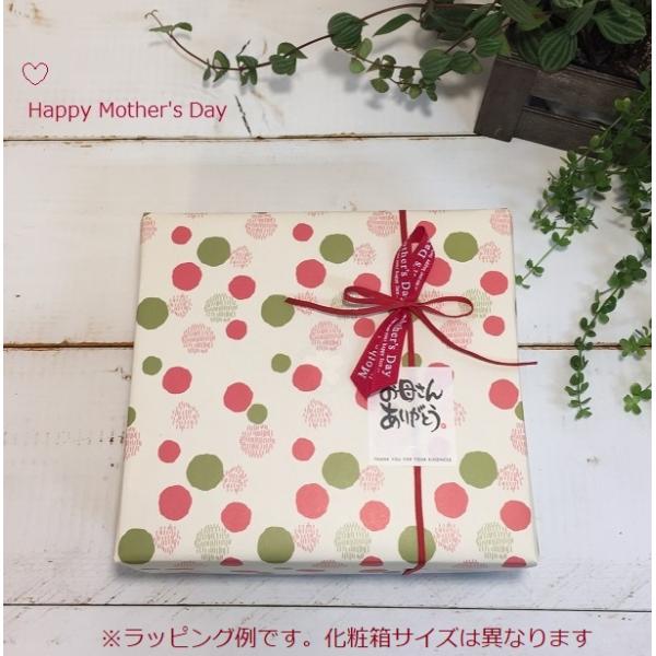 【配送の際のご注意】◆ご注文者様と発送先が異なる場合、またご注文者様と配送先の住所が同一でも受け取り人さまのお名前が異なる場合は【母の日着】となります。◆ご注文者様とご注文者様のお名前が同一の場合ご注文から早くの発送となります。※この場合、...