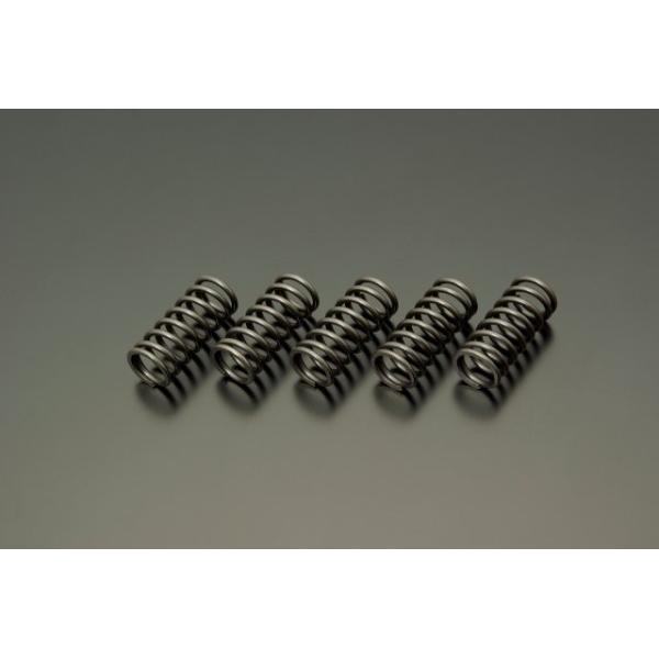 ADVANTAGE アドバンテージ 強化クラッチスプリング for Standard Model W800('11-'16) 094-K0207-05