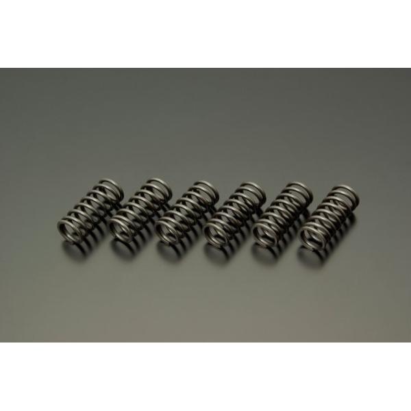 ADVANTAGE アドバンテージ 強化クラッチスプリング for Standard Model Ninja ZX-14R('12-'20） 094-K0187-06