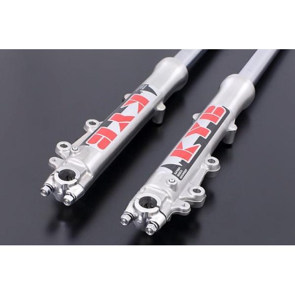 ADVANTAGE アドバンテージ 旧KAYABA純正ワークスタイプ　（正立Fフォーク用） 汎用品 AD-25