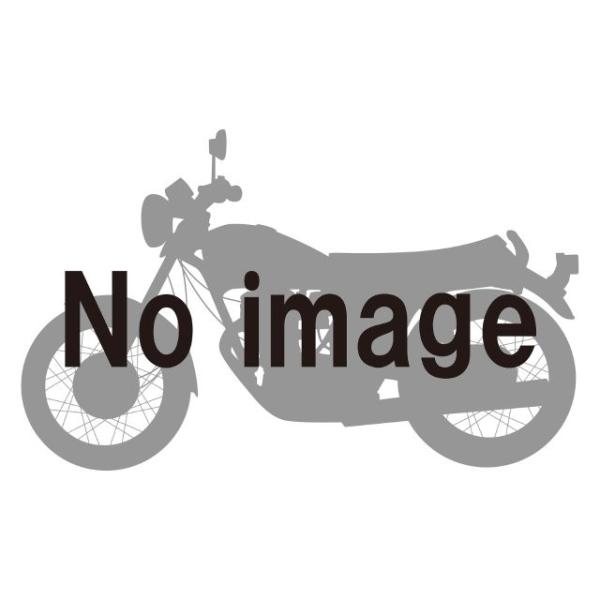 DAYTONA デイトナ エンジンガード本体 左側（パイプエンジンガード  W800/650 グロスブラック（92380））補修部品 20962