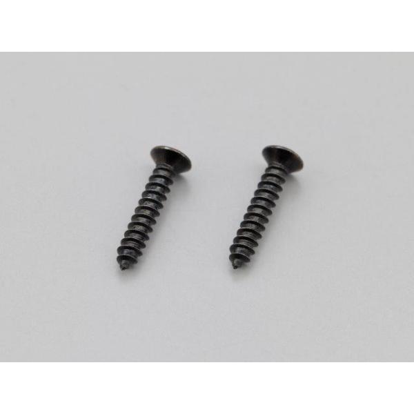 DAYTONA デイトナ GIVI M2×12CSK タッピングスクリュー 24267