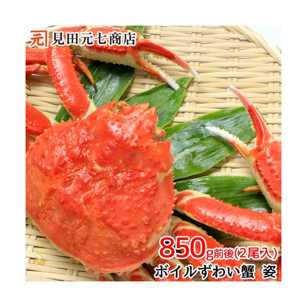【送料無料】※北海道・九州・佐渡島は別途500円、沖縄県は別途1,000円が追加されます。■商品名■ボイル済 ズワイ蟹 姿 ２尾入（約850g前後/1尾約430g）（2-3人前）■賞味期限■冷凍−18℃以下で1ヶ月。自然解凍後は冷蔵保存にて...