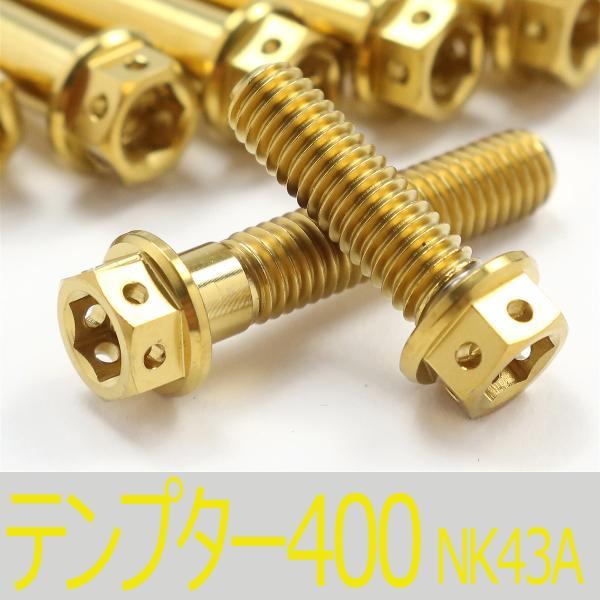 ※ エンジンカバーフルセット売り&amp;各エンジンカバーでのバラ売り、対応しております！ 　ショップ/ストア内検索 or【[車種名] チタンボルト レーススペック】で検索！！ ※こちらの商品はテンプター NK43A/ST400V チタンボ...