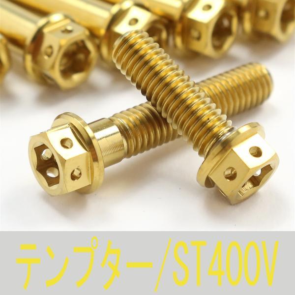 ※ エンジンカバーフルセット売り&amp;各エンジンカバーでのバラ売り、対応しております！ 　ショップ/ストア内検索 or【[車種名] チタンボルト レーススペック】で検索！！ ※こちらの商品はテンプター NK43A/ST400V チタンボ...