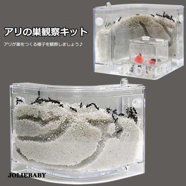 アリの巣　あり観察キット　アリの巣観察キット　アリ　巣　観察　飼育ケース　砂　自由研究 小学生 キット あり 蟻 飼育セット 実験セット 観察 工作 男の子　女の子　夏休み　学習用　おもしろ実験　