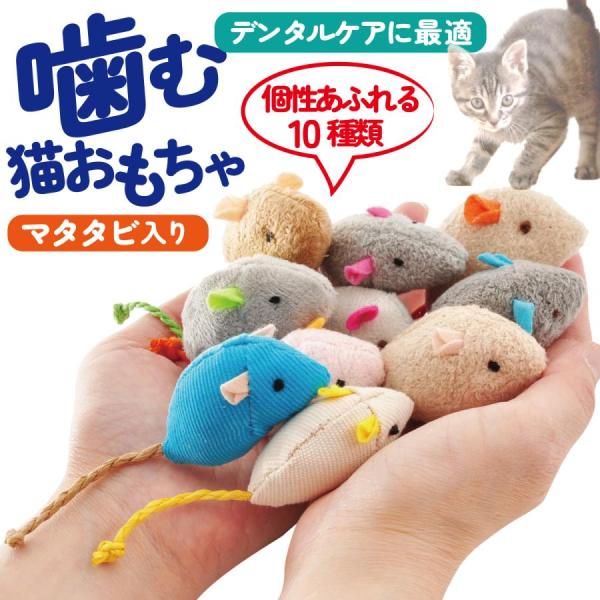 ねずみぬいぐるみ-10点（ぬいぐるみ内にマタタビ混入されています。）ねこ本来の狩猟本能を引き出し、ストレス解消と運動不足の解消につながります。子猫にとっては狩りのトレーニングにも役立ち、健康な成長促進につながります。また、つかみやすい、噛み...