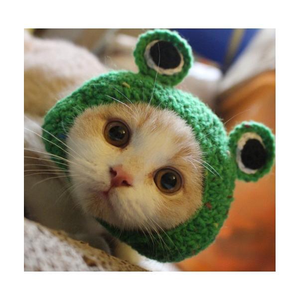 本品はPANNIペット猫用のかつら、猫用の帽子です。ペット専用可愛い帽子を被って、あなたの愛猫と愛犬が百倍可愛いになります。ペットのおもちゃじゃなくて、ペットの変身服です、設計が可愛くて、使い便利です、エコ材料を使用して、ペットの健康に影響...
