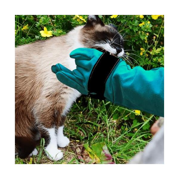 猫用 猫 ペットグローブ噛みつきロング ペット用保護手袋 ロングレザー 牛革 ひっかきキズ 噛みつき防止 お出かけ時 嫌がる猫 ペット用保護グローブネコちゃんが嫌がるお世話の時にネコちゃんとご家族を守るための補助グッズ・厚手の天然牛革素材で...