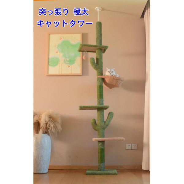 サボテンのデザインで、リビングや寝室など場所を問わず、インテリアにマッチします！【当店オリジナル】鮮やかで可愛いサボテンの姿で、お部屋に置いても圧迫感がなく、インテリアに馴染みやすい。【爪とぎポール】爪とぎポールたくさん！猫ちゃんは存分にバ...