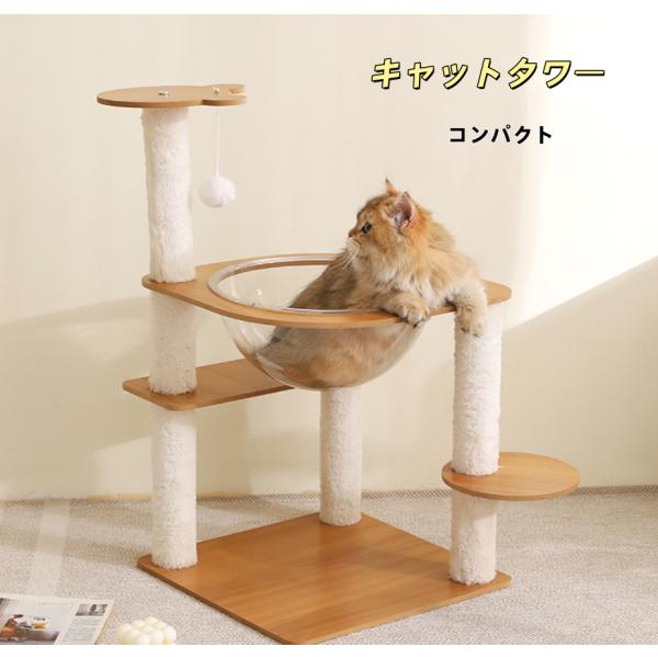 適用対象：子猫から大型猫まで