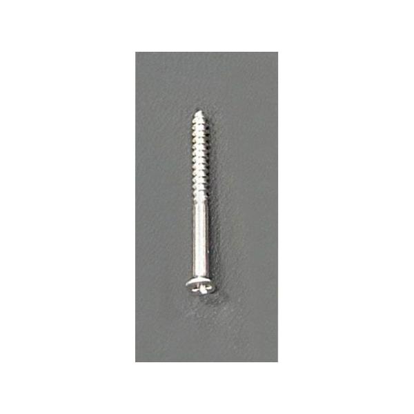 ●メーカー名：エスコ / ESCO●商品名：2.0x19mm 木工用極細ビス（700本）メーカー品番：EA949FC-219JANコード：4550061077467備考■サイズ（mm）…2.0×19■入数…700本■材質…キルド鋼（焼入れ処...