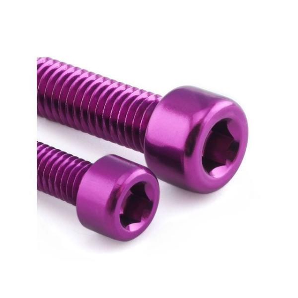 ●メーカー名：プロボルト / probolt●商品名：Aluminium Fuel Cap Kit Suzuki/Other●カラー：パープルメーカー品番：TSU380PGSX1300R HAYABUSA 隼 ハヤブサ高張力陽極酸化アルミニ...