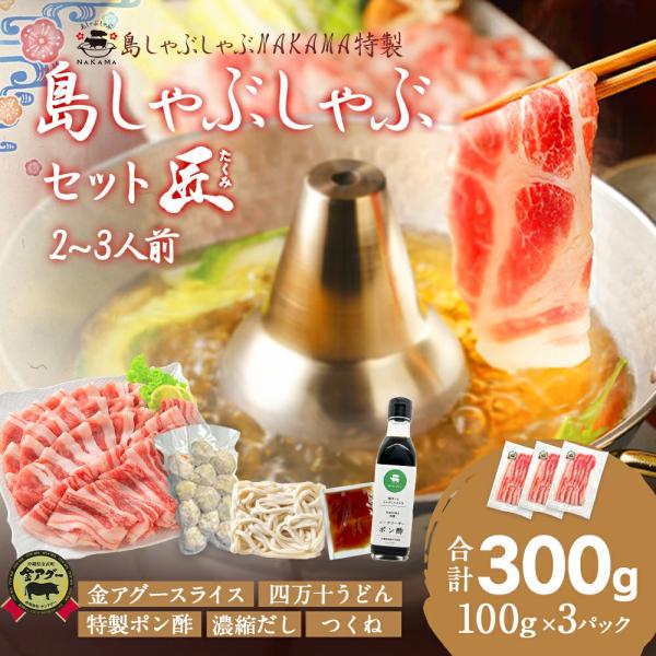 ＝＝セット内容＝＝■金アグー豚スライス　100g×3パック合計300g■厳選鶏つくね（鶏しんじょう・鶏つみれ）　300g×1パック(要冷凍-18℃以下)■選べるしゃぶしゃぶ出汁　出汁50gもしくは濃縮100g4種スープ×1パック■四万十うど...