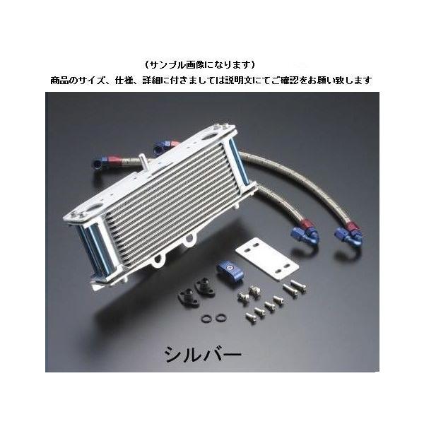 セトラブ製コアとアールズ製フィッティング&amp;ホースで耐久性に優れた高品質なオイルクーラー。 パワーアップされたエンジンの上がりがちな油温を一定に保ち、エンジンのコンディションを維持します。●オイルラインは、エンジンやマフラーに接触しな...