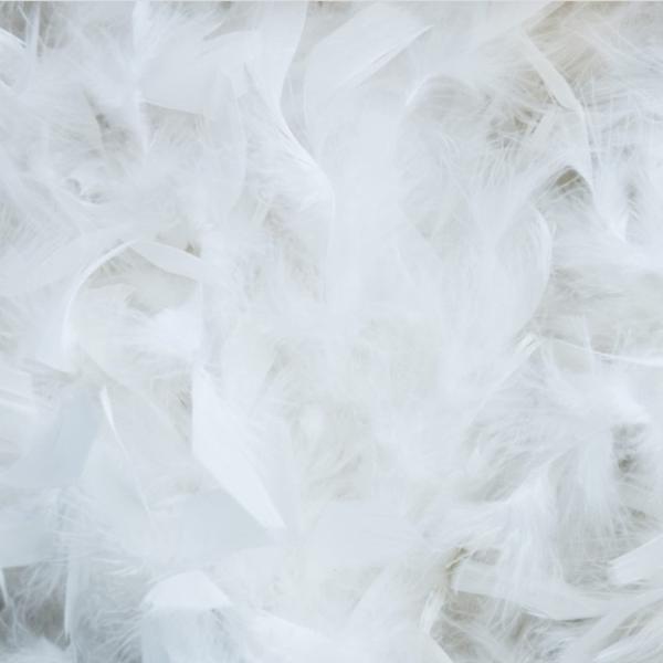 【商品名】　300pcsフェザーシャワー フラワーシャワー 造花 羽 ブライダル 結婚式 誕生日 8-12cmイベント パーティー 手芸材料 DIY装飾 【商品説明】　・大容量で、300本の高品質の羽が含まれています。羽がふわふわと舞う幻想...