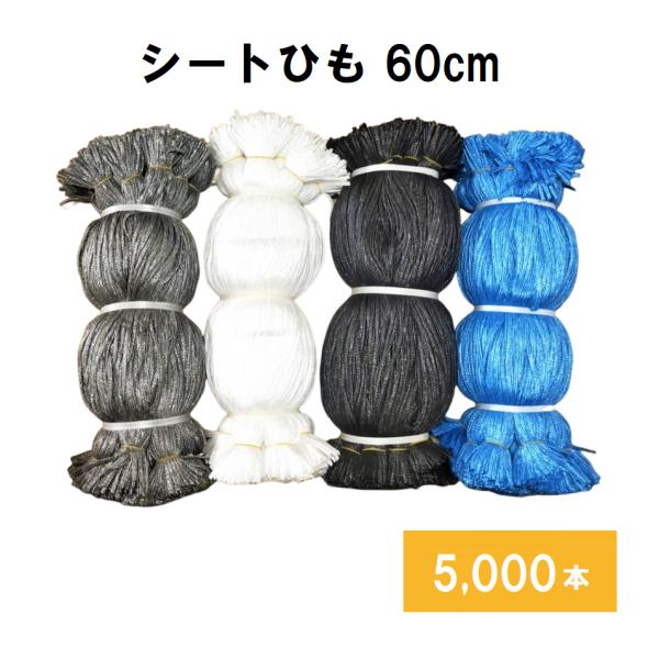 メッシュシート結束に使用するヒモ【商品名】シートひも【長さ】60cm【素材】ポリエチレン【色】白・青※黒・グレーは在庫なしとなります【数量】5,000本