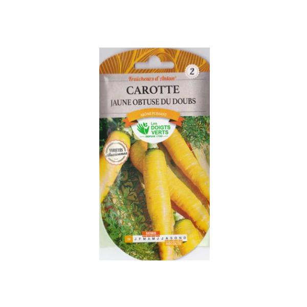 元々はフランスで古くから栽培されている黄色のキャロットです。15-30cmくらいに成長する長くて大変甘味のある品種です。キャロットは発芽が難しいため、種まき後、土を乾かさないようにするのがポイントです。●種まき　3-6月●収穫　　8-11月...
