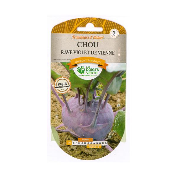 キャベツ類・コールラビviolet de Vienne　鮮明な紫色の柔らかい実が実ります。　キャベツとカブの中間の野菜で、キャベツ料理、カブ　料理の代用に使えます。　煮物、炒め物、生食と幅広い調理法で使えます。種まき:2月下旬-4月/8-1...