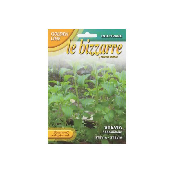 ブラジルやパラグアイなど南アメリカ原産の小さくてしなやかなハーブです。信じられないくらい甘味のある葉は砂糖の代用として使われますがカロリーは砂糖の2/3ほどのようです。全草に甘味成分がありますが特に葉の部分に強い甘みを含みます。その甘みは砂...