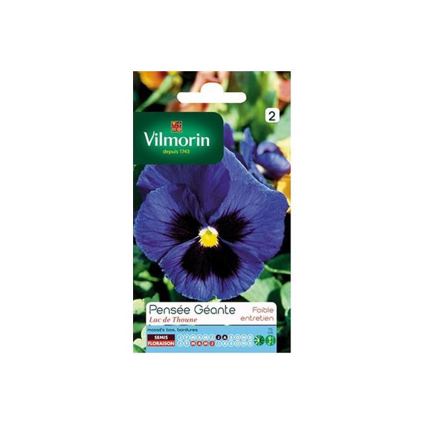 エディブルフラワー・パンジー Giant AlpenGlow【固定種】【V-203F】パンジーは寒さに強く強健、彩り豊か、花期が長く、花数多く、真冬の花のない時期のエディブルフラワーに大・大・大活躍します♪サラダやスープ、デザート、プレート...