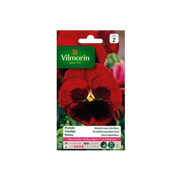 エディブルフラワー・パンジーGiant AlpenGlow【固定種】パンジーは寒さに強く強健、彩り豊か、花期が長く、花数多く、真冬の花のない時期のエディブルフラワーに大活躍します♪サラダやスープ、デザート、プレートのデコレーションに、この一...